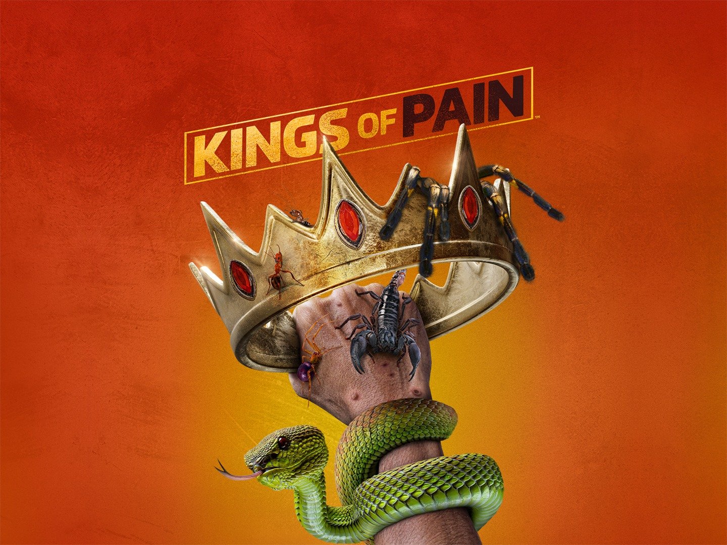 Prime Video: Kings of Pain