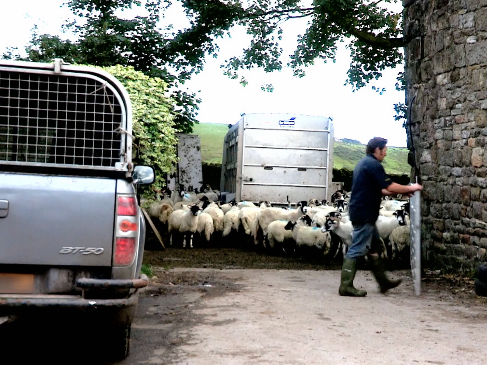 Prime Video: The Sheriffs are Coming