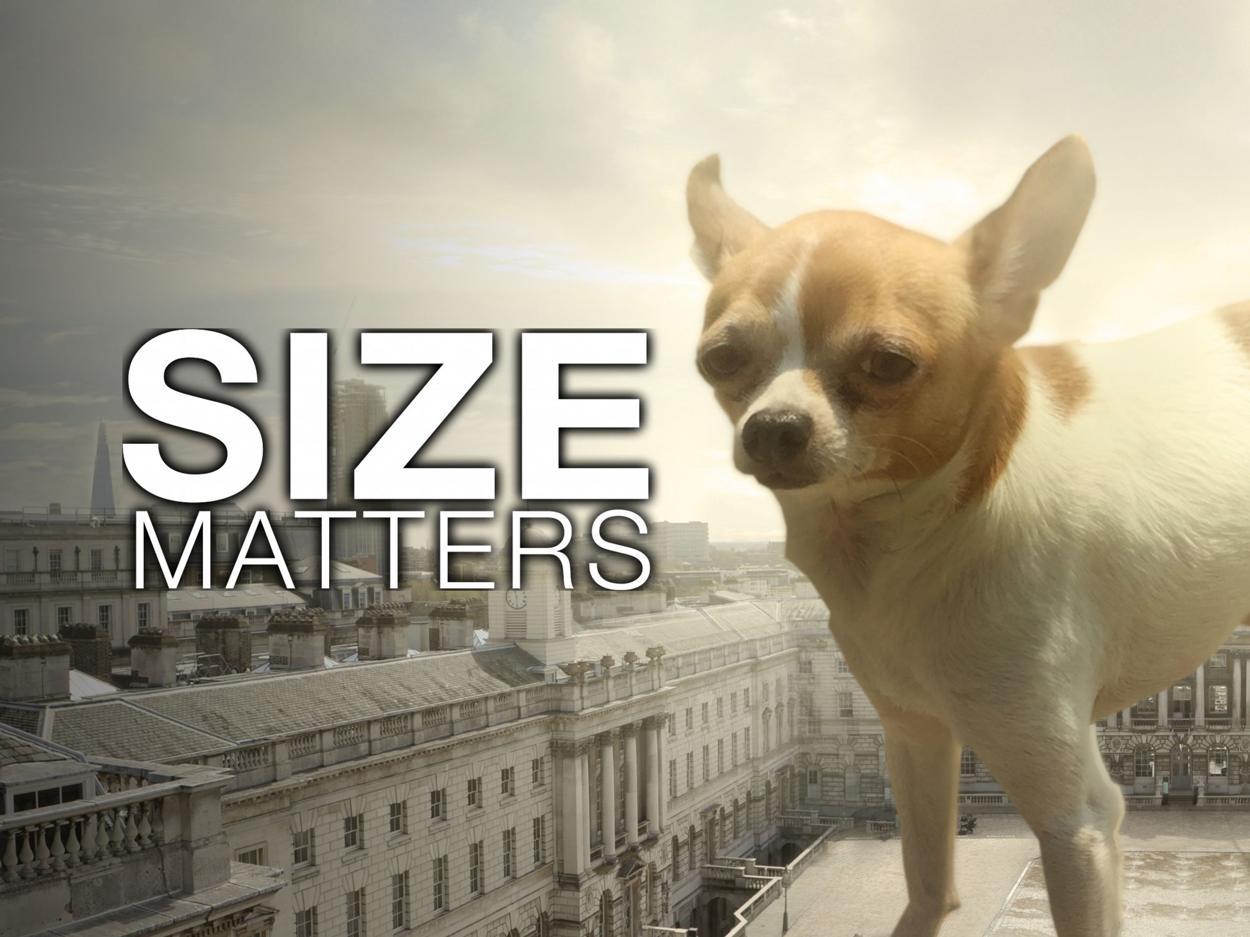 Prime Video: Size Matters - Season 1