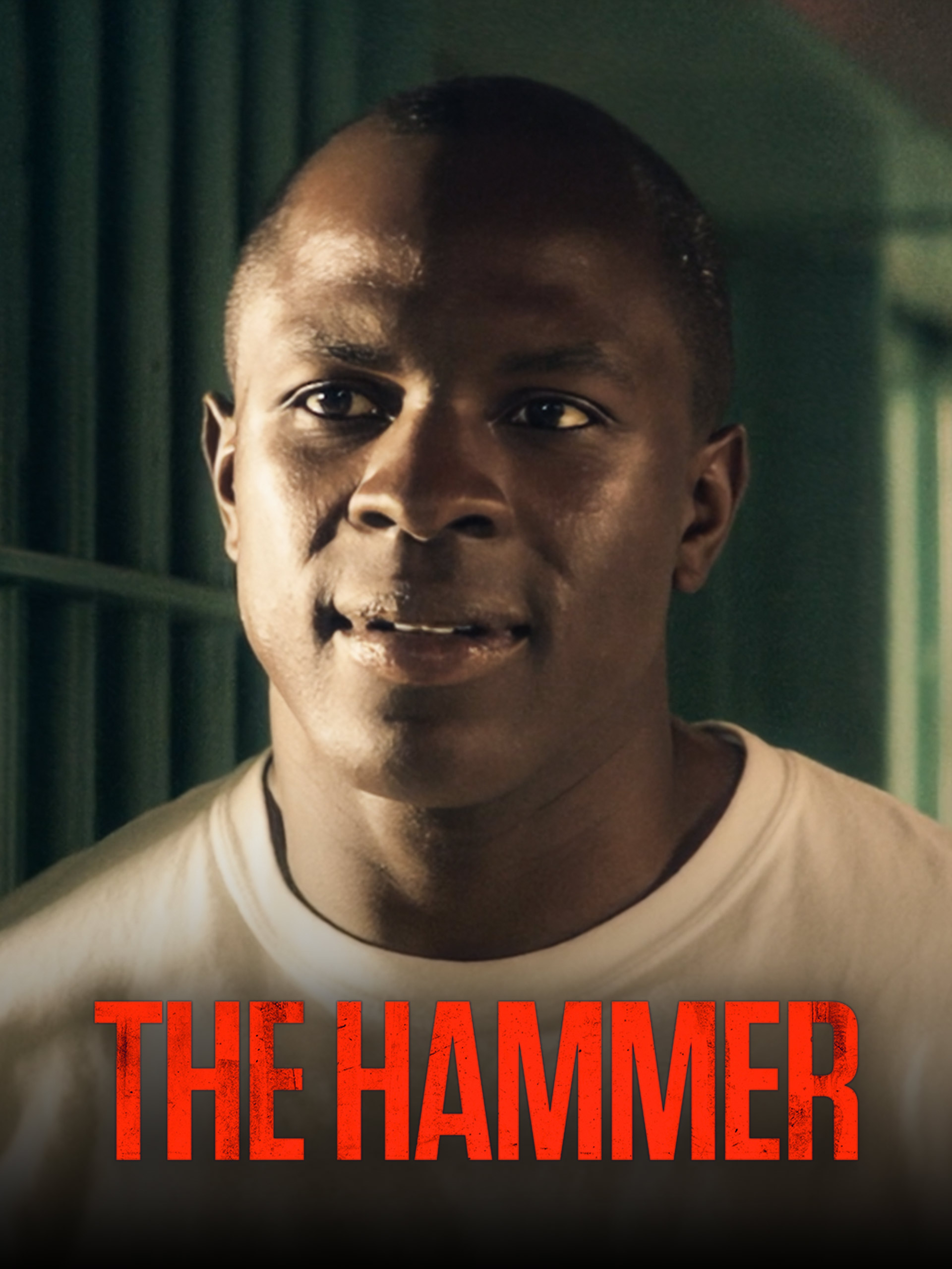Prime Video: The Hammer