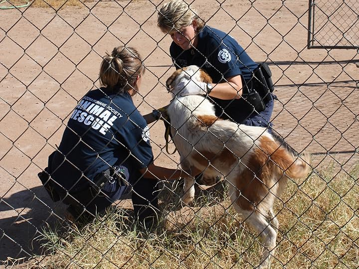 Watch Animal Cops Phoenix - Season 1 | Prime Video