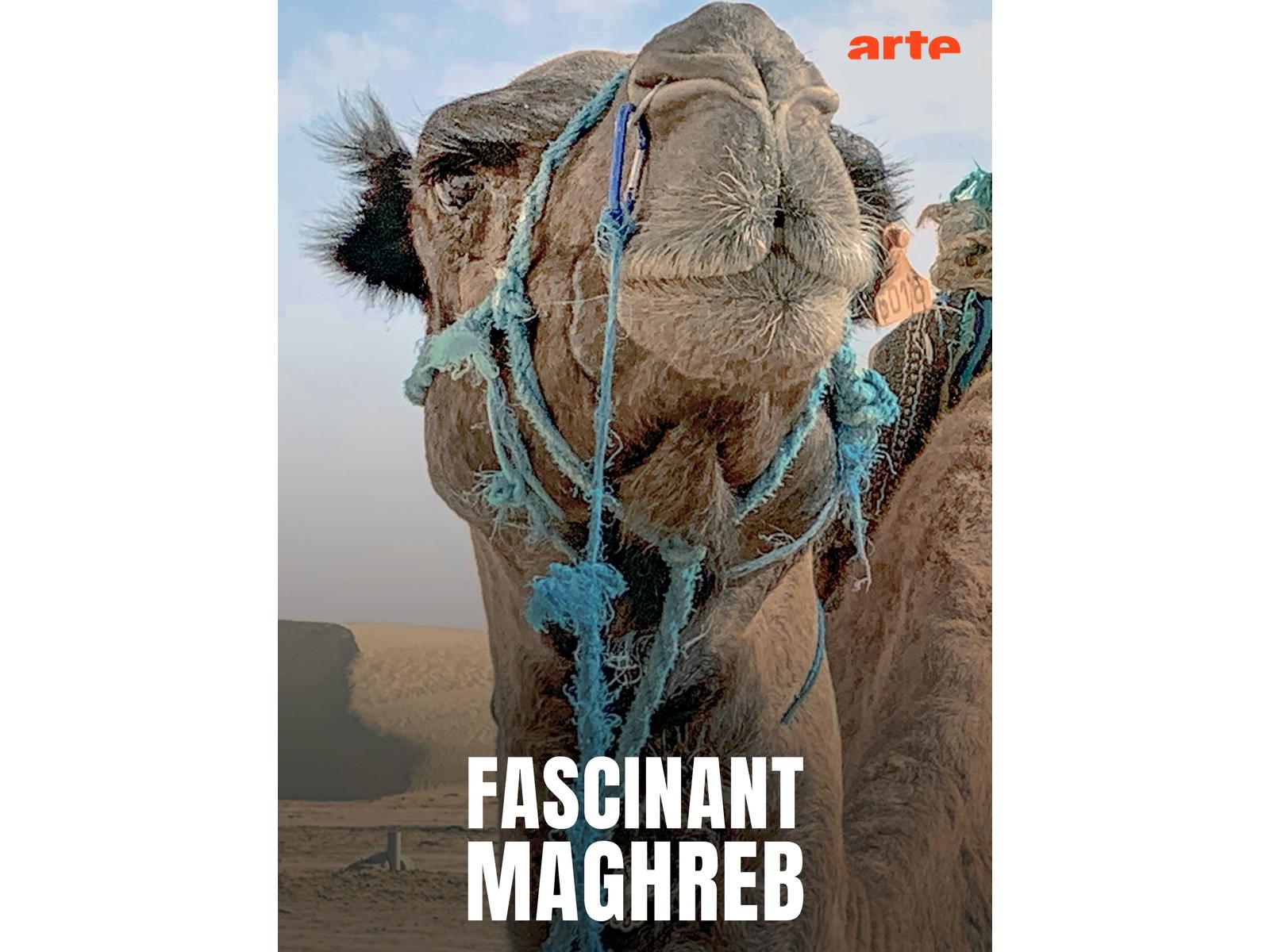 Prime Video: Fascinant Maghreb - Saison 1
