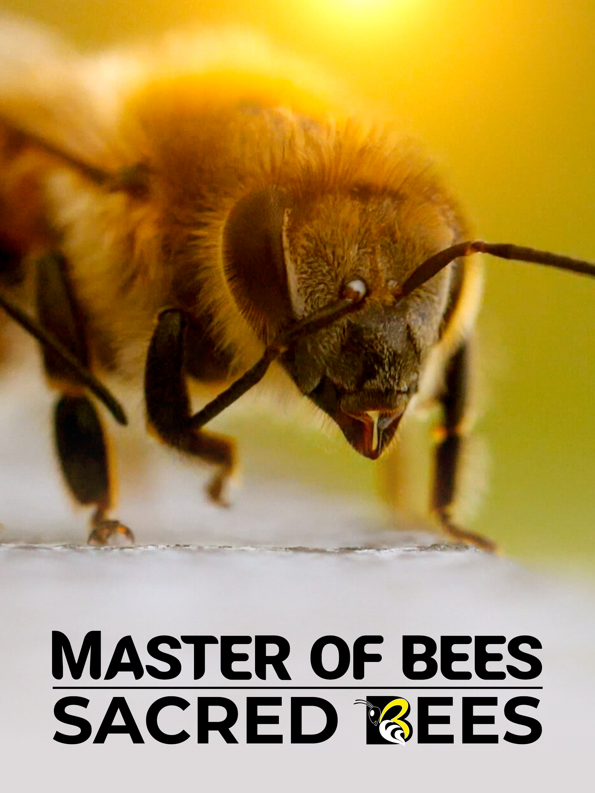 Prime Video: Master of Bees: Sacred Bees