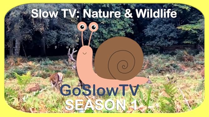 Watch Slow TV by GoSlowTV | Prime Video