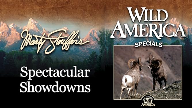 Watch Wild America | Prime Video