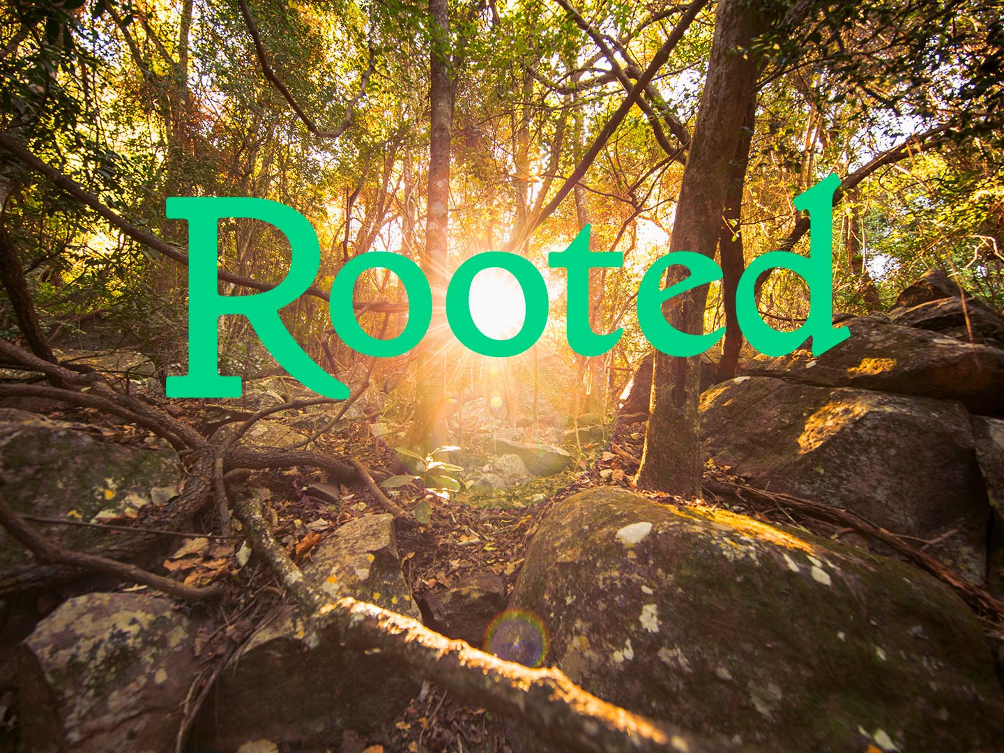 Prime Video: Rooted