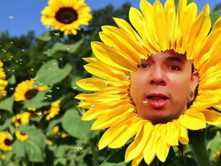 Prime Video: DA FUQ - Season 2