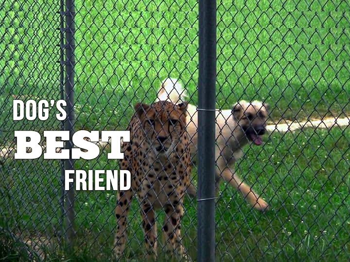 Prime Video: Dog s Best Friend - Season 1