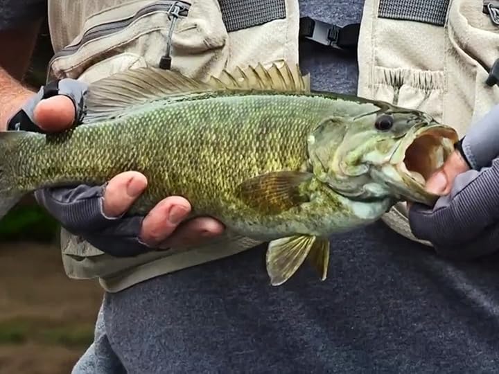 Prime Video: On Location - Season 1