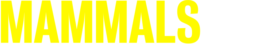 Watch Mammals - Season 1 | Prime Video