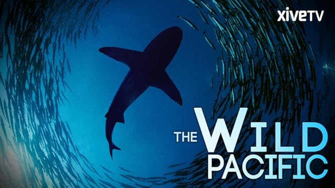 Amazon.de: Fire Ants: The Invincible Army [OV] ansehen | Prime Video