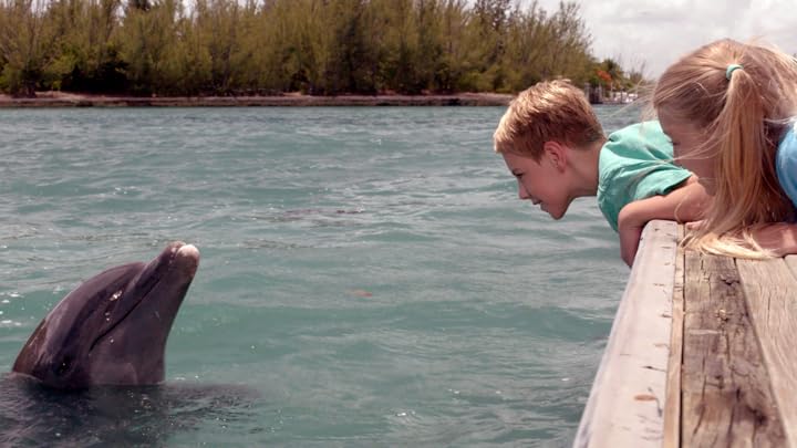 Prime Video: Dolphin Kick