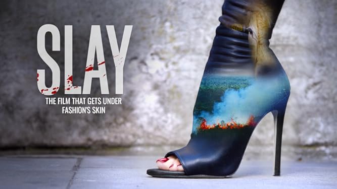 Search the Full Amazon Prime UK Catalogue - NewOnAmzPrimeUK