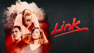 Steven Finch: Movies, TV, and Bio