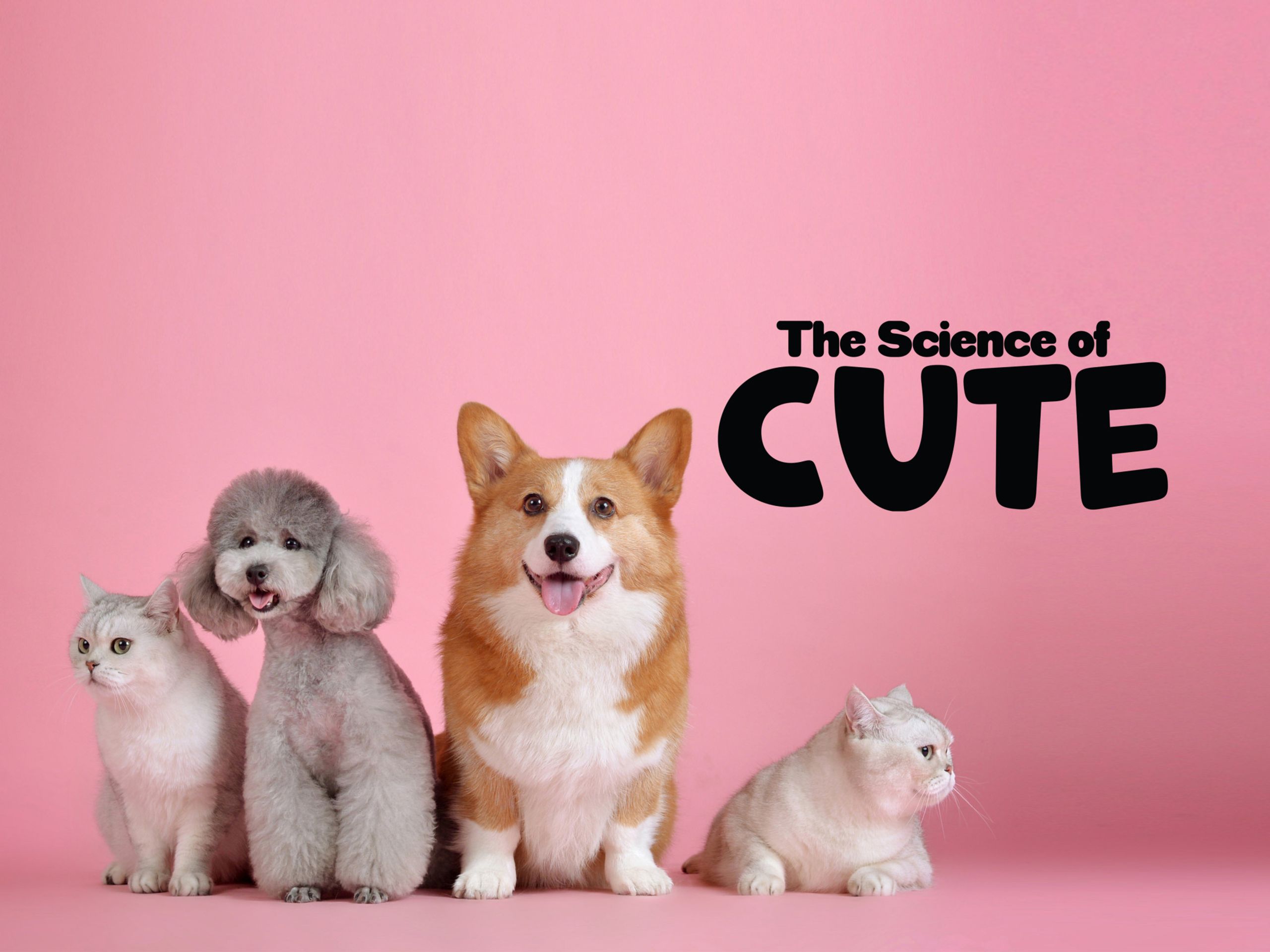 Prime Video: Bright Now - Season 1