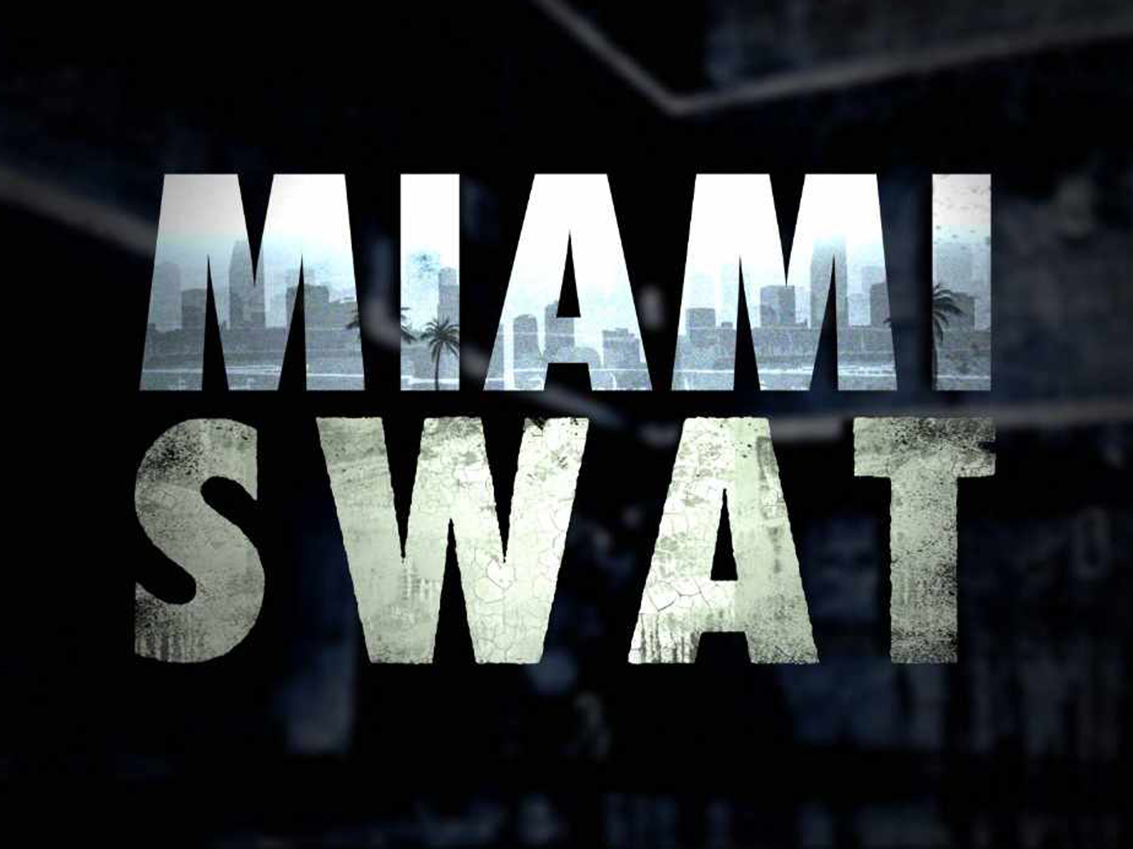 Prime Video: Miami SWAT