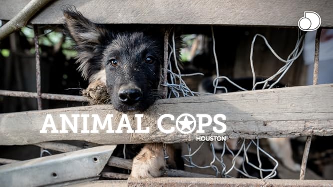 Watch Animal Cops: Houston - Season 5 | Prime Video