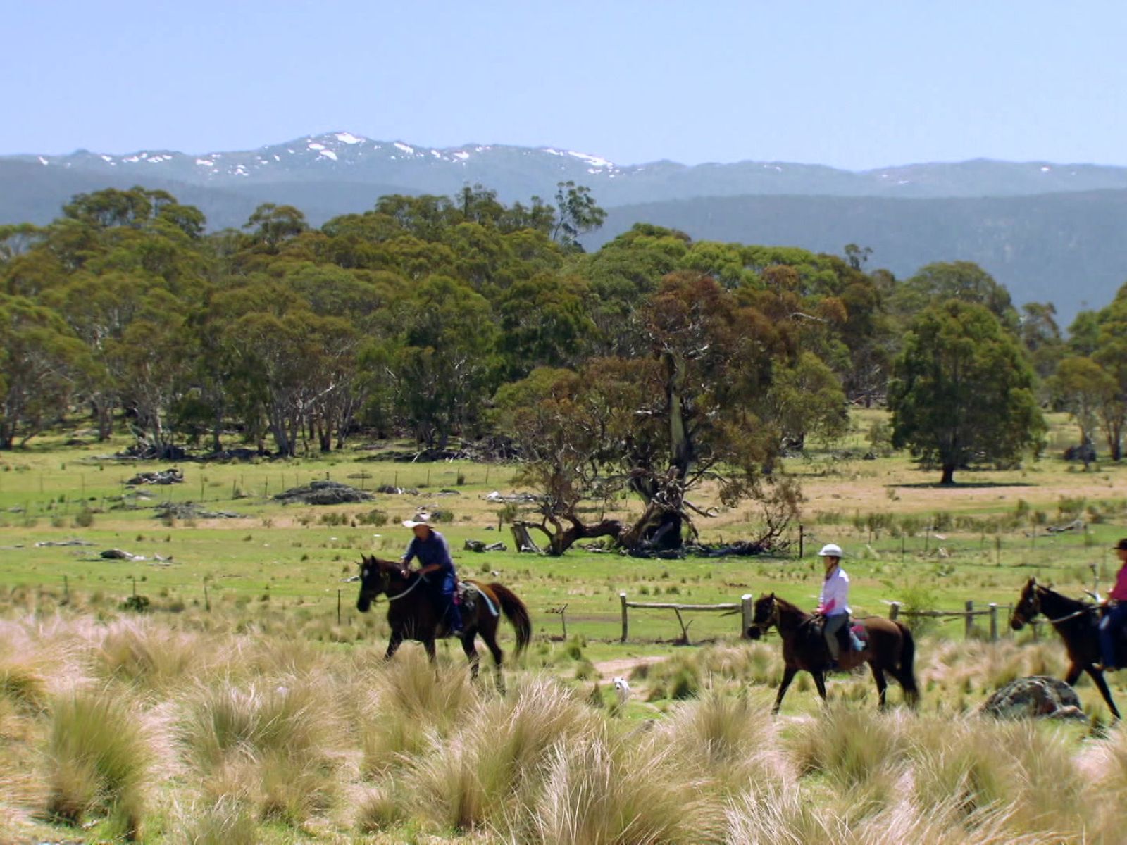 Prime Video: Places we Go - Season 8