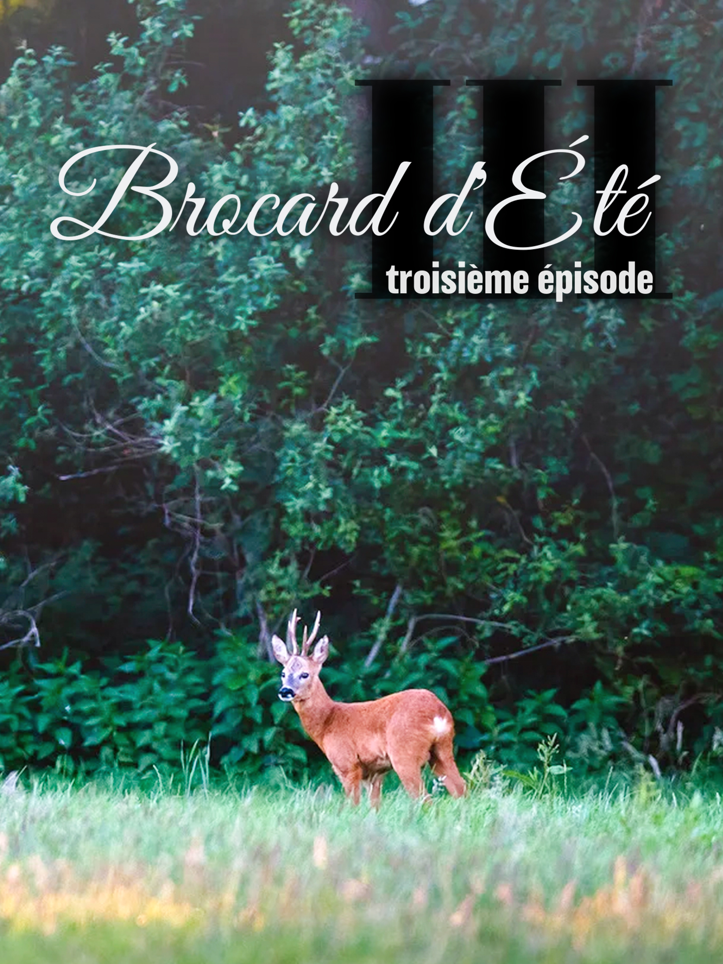 Prime Video: Brocard d’Été: Épisode 3