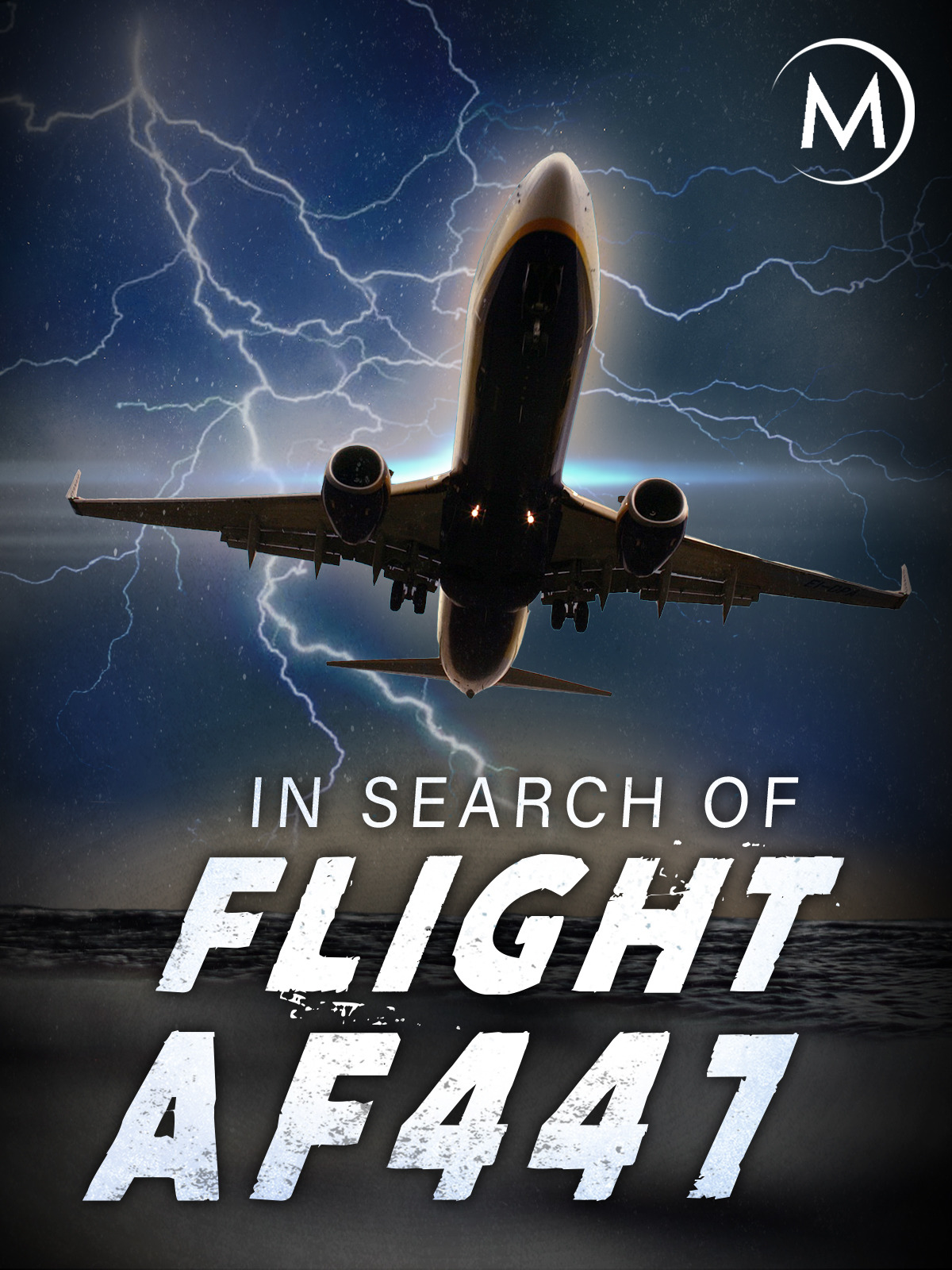 Prime Video: In Search of Flight AF447