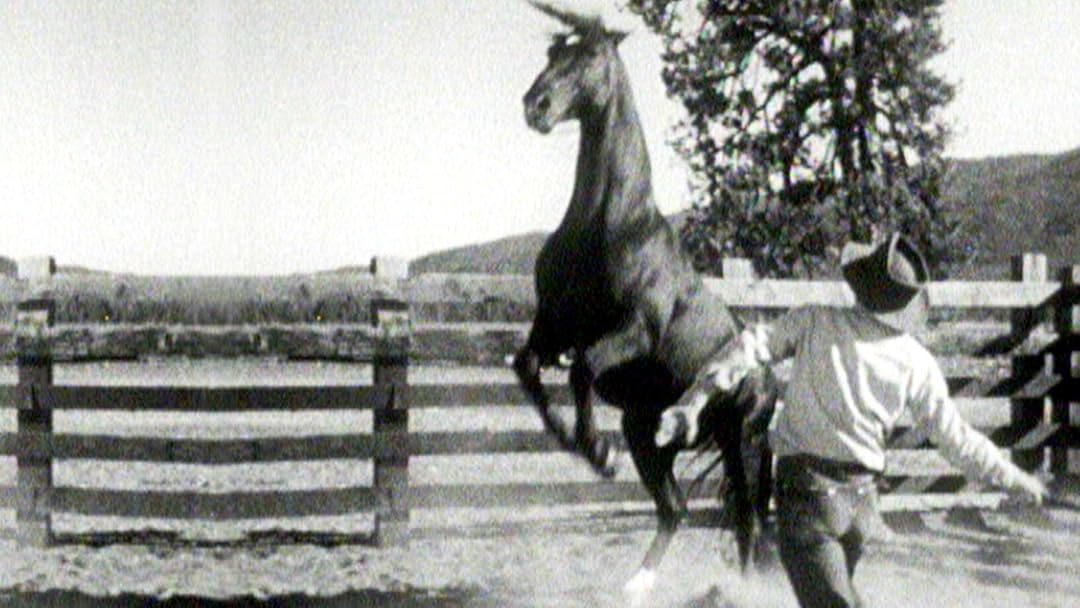 Amazon.de: Fury - Die Abenteuer eines Pferdes ansehen | Prime Video