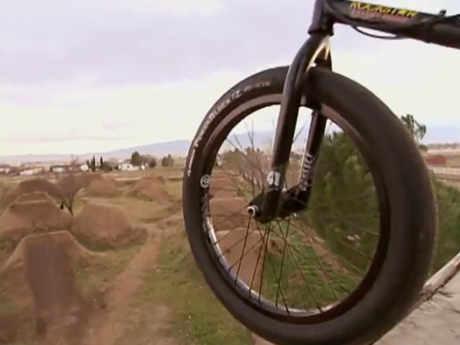 Prime Video: The X Life