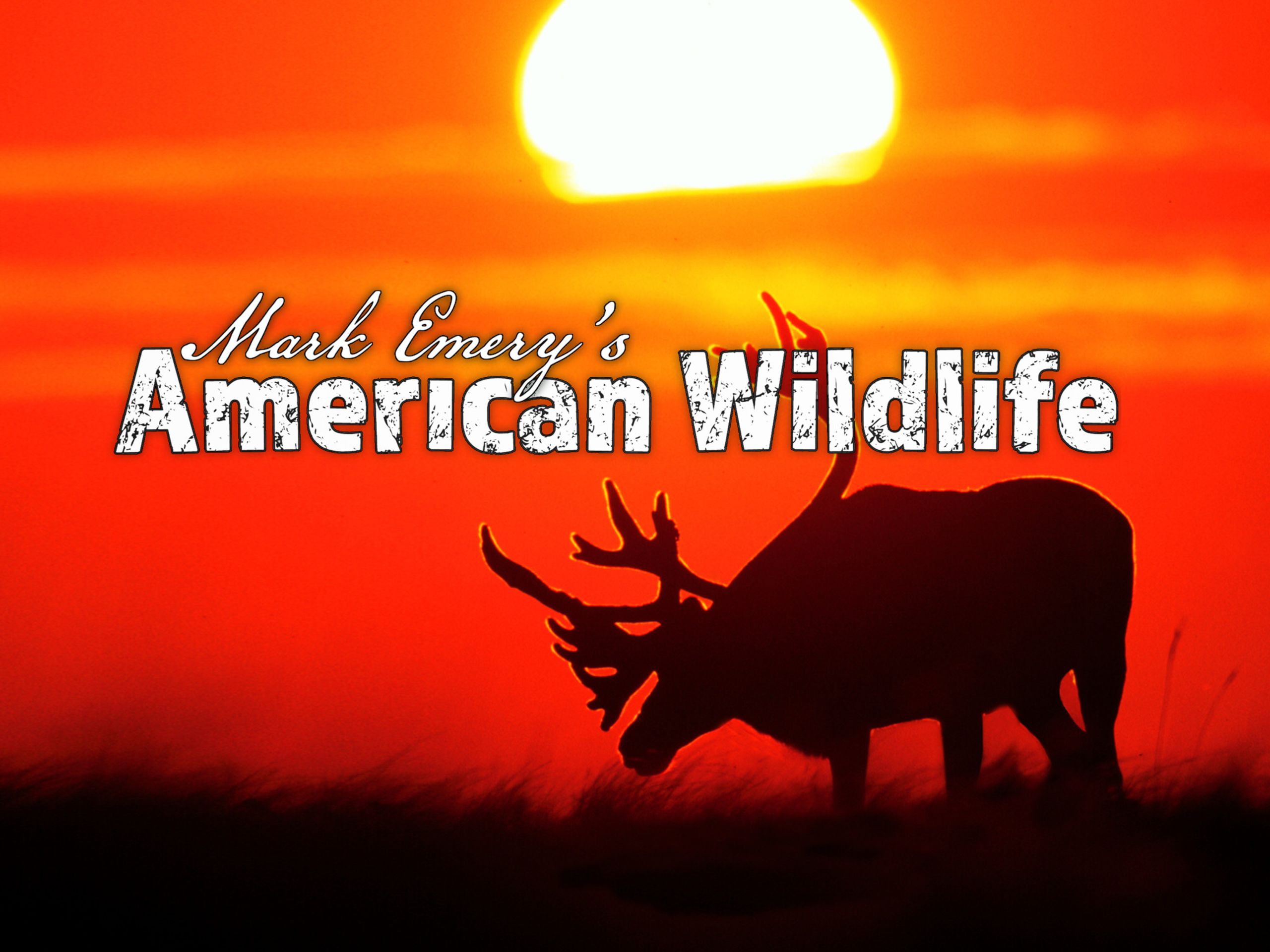 Prime Video: Mark Emery's American Wildlife - Season 1