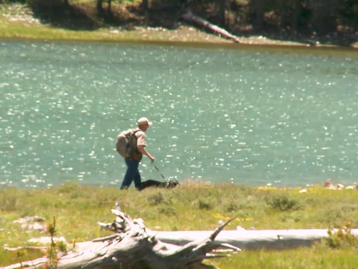 Amazon.de: Wardens: Short Takes - Season 1 ansehen | Prime Video