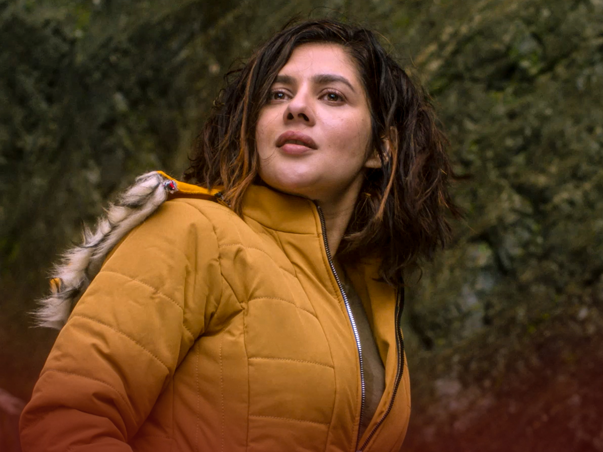 Prime Video: Hello! Remember Me? (Hindi) - Season 1