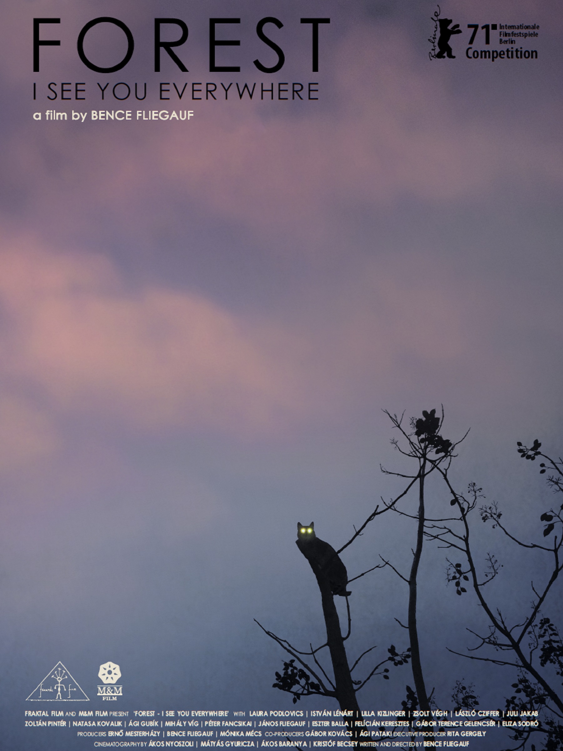 Prime Video: Forest - i see you everywhere