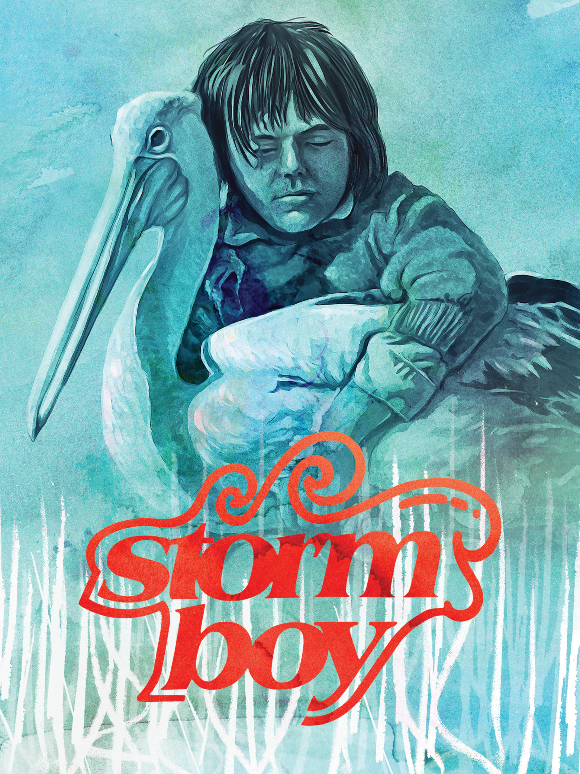 Prime Video: Storm Boy