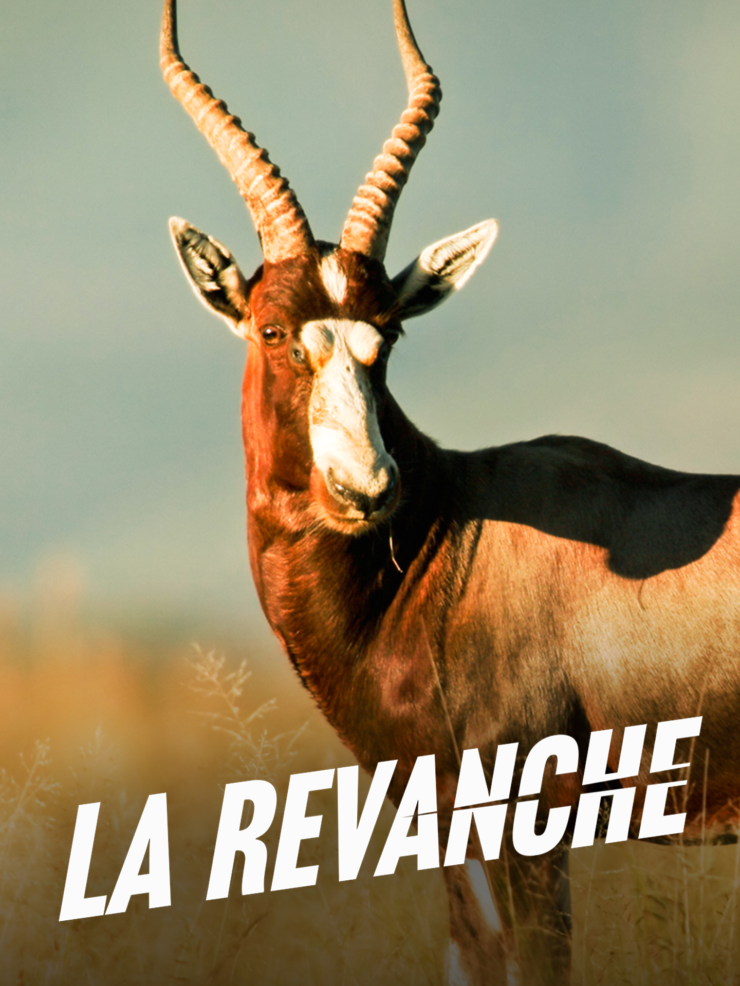 Prime Video: La Revanche