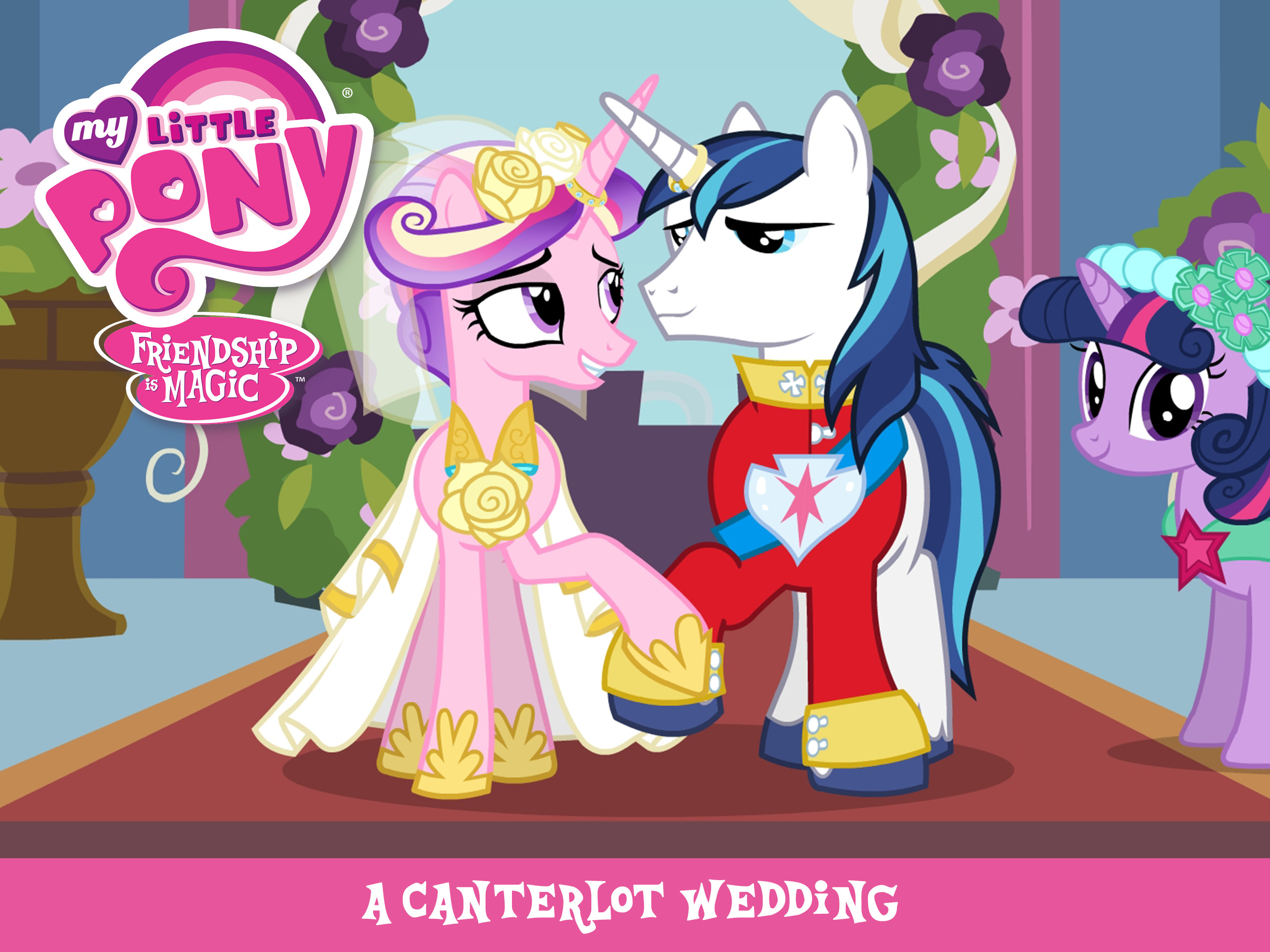 Princess Cadence And Shining Armor Wedding